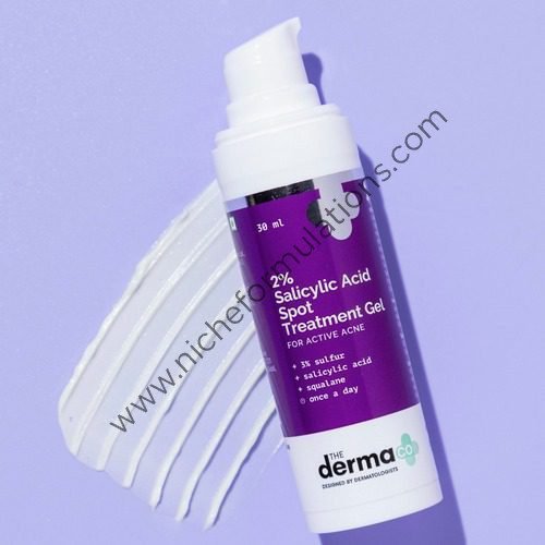 The Derma Co 2% Salicylic Acid Spot Treatment Gel - Niche Formulations
